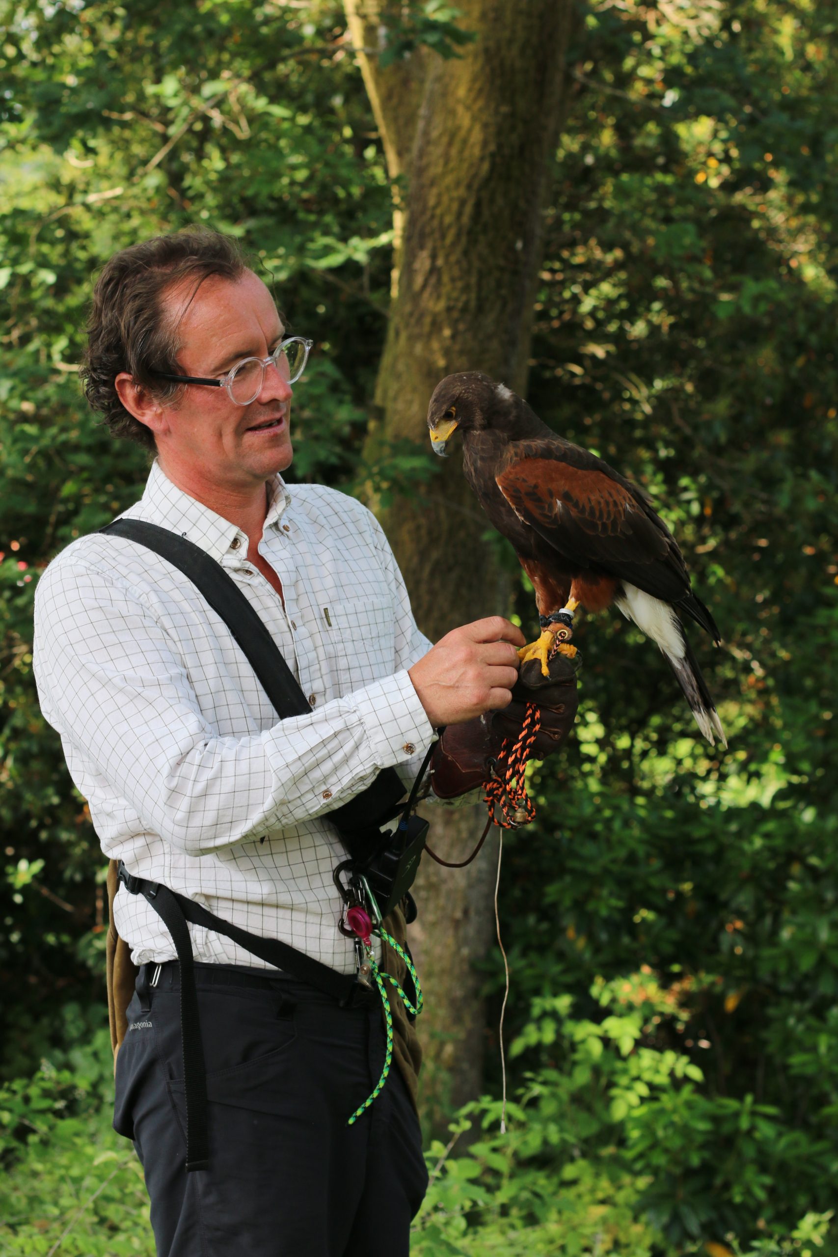 CORPORATE, EDUCATIONAL & TEAM BUILDING EVENTS - Lake District Falconry