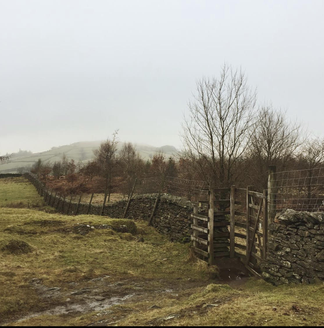 Map of Lake District National Park: Visitor's Guide - Lake District ...
